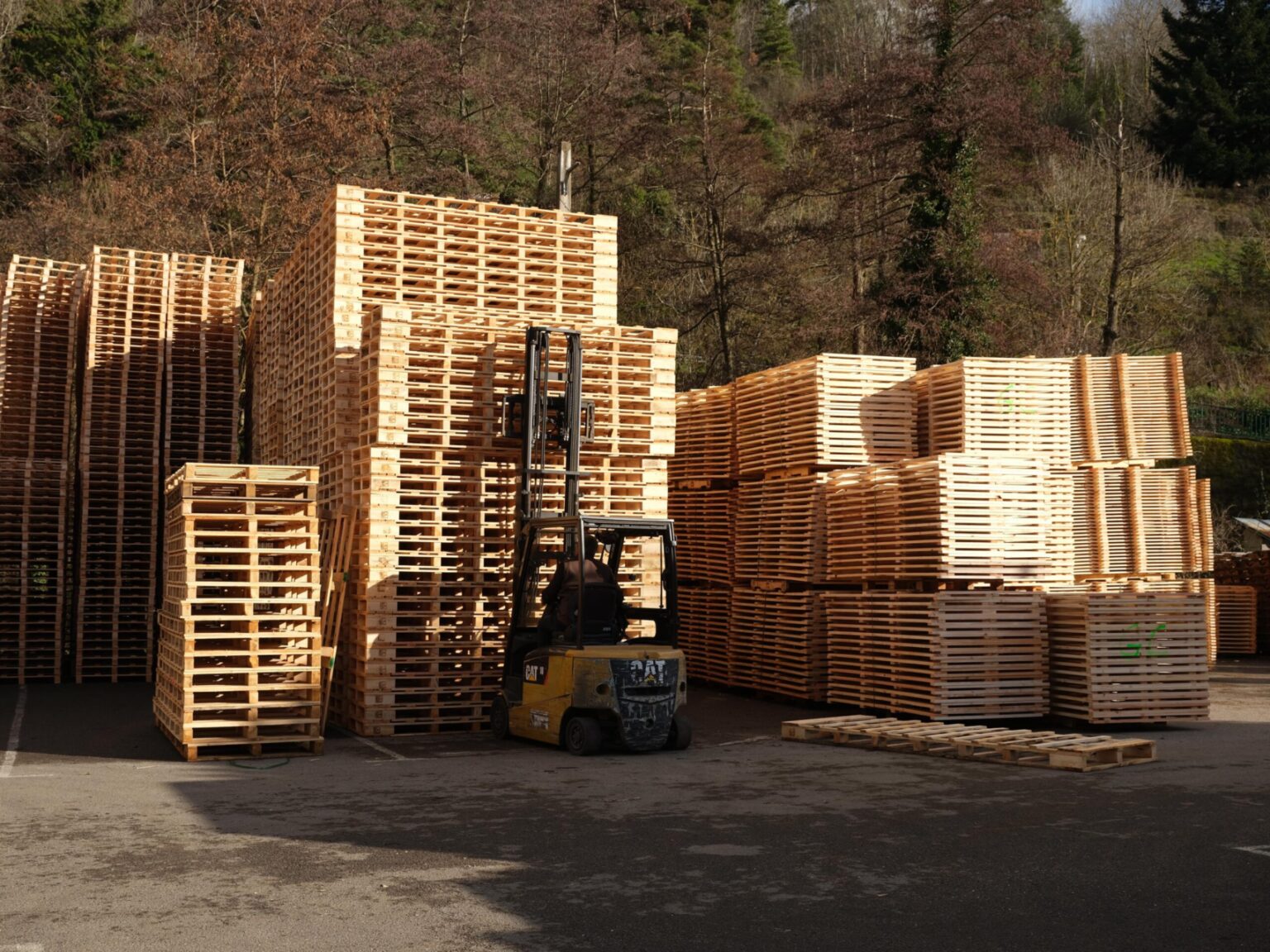 Palette Europe EPAL : Dimensions, Prix, Normes | Guide 2025/26